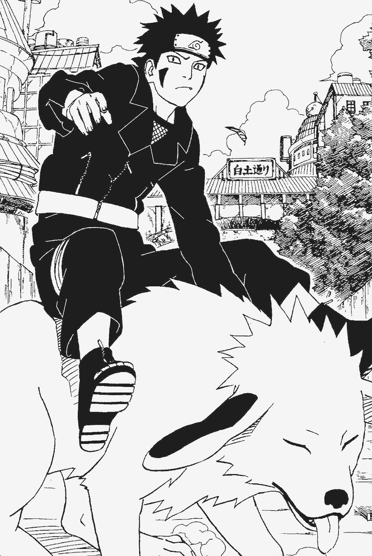 Picture of Kiba Inuzuka