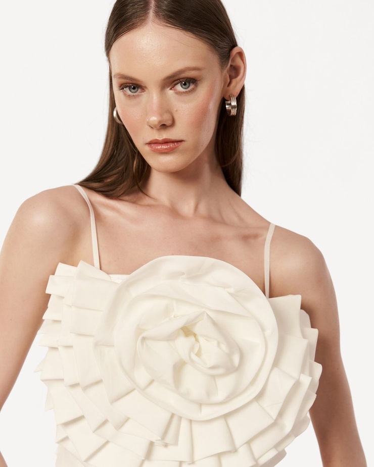 Anastasia Kostova image