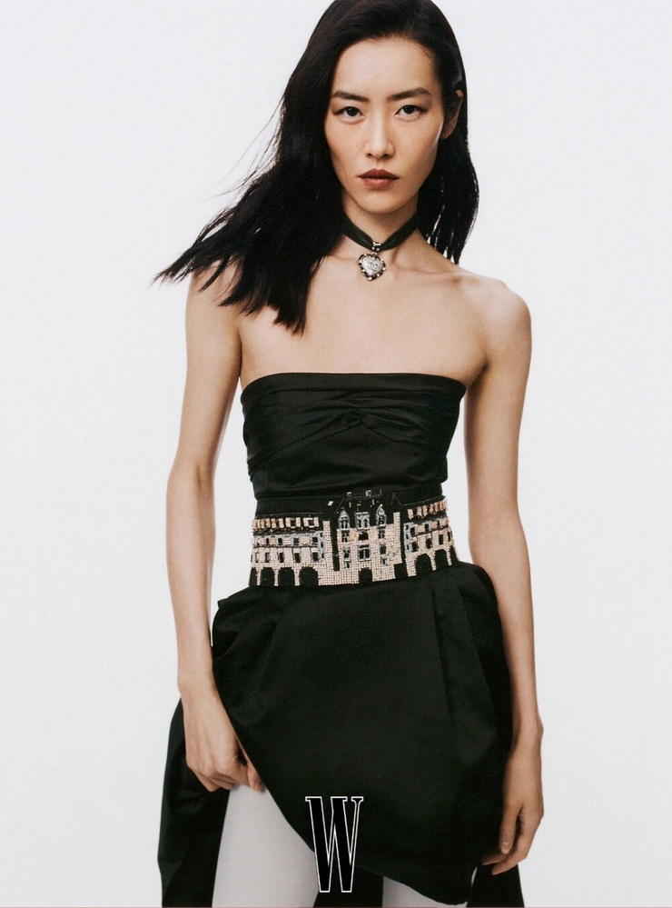 Liu Wen image