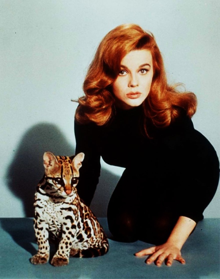 Ann-Margret