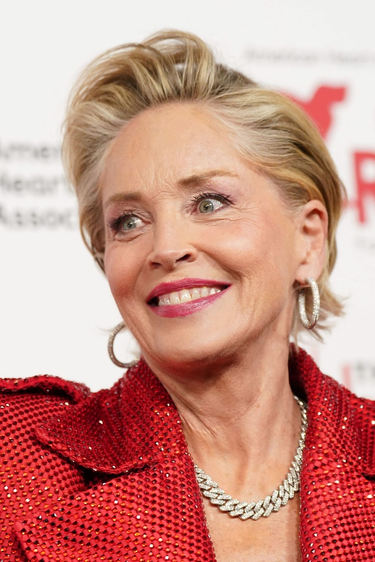 Picture of Sharon Stone