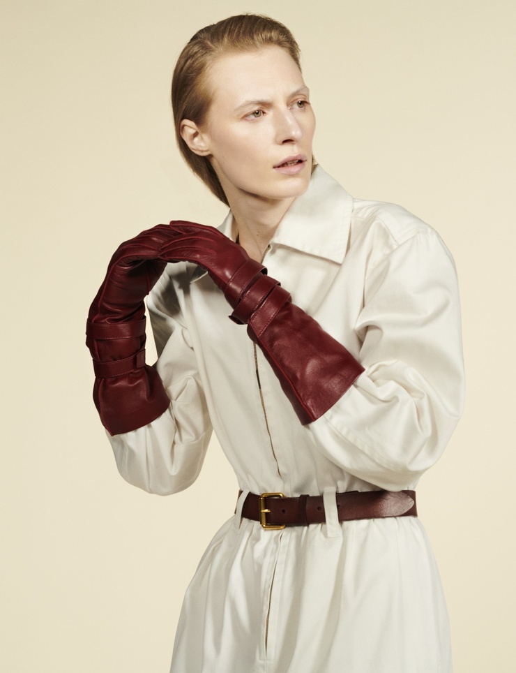 Julia Nobis image