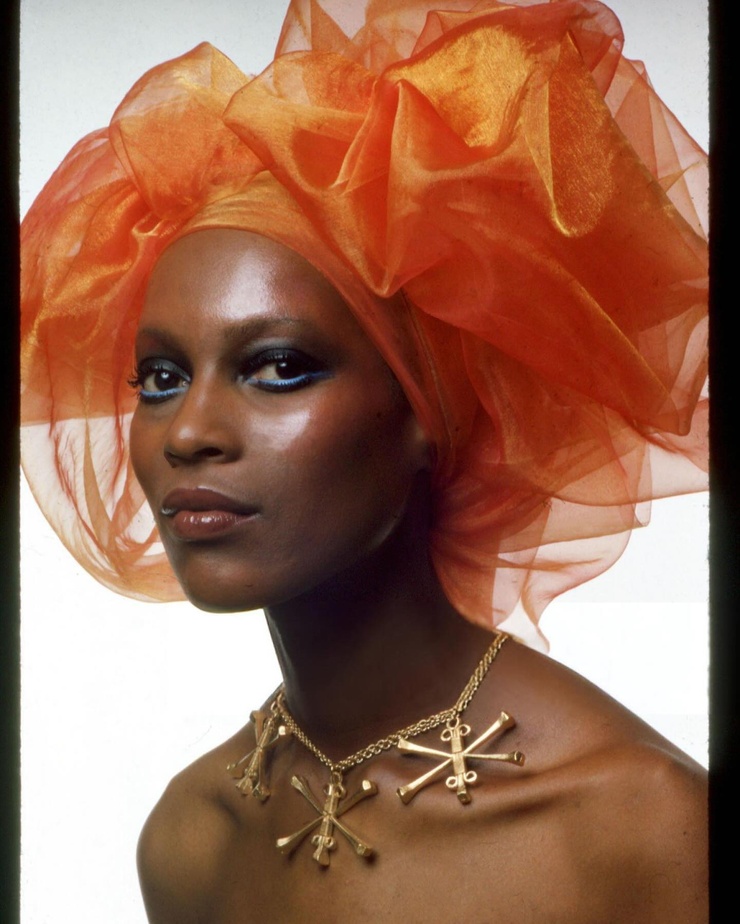 Picture of Naomi Sims