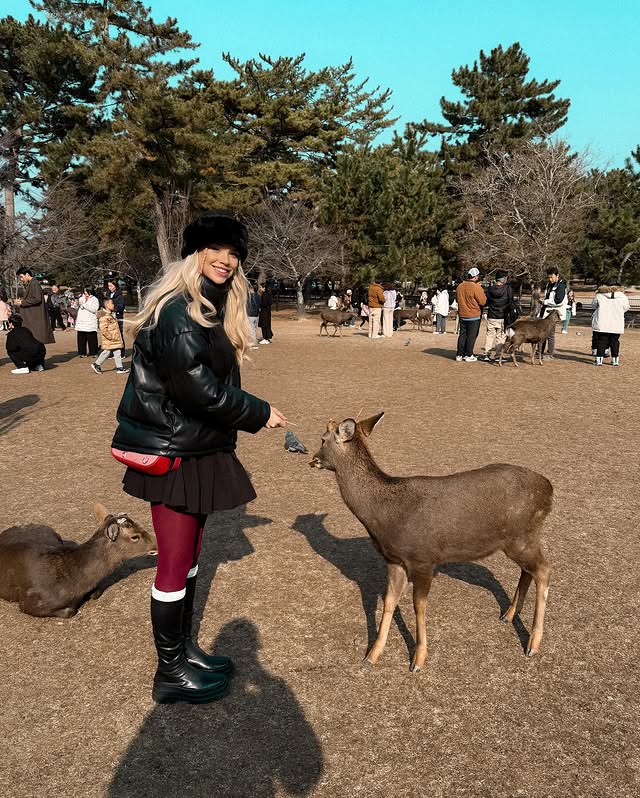 Picture of Berticuss