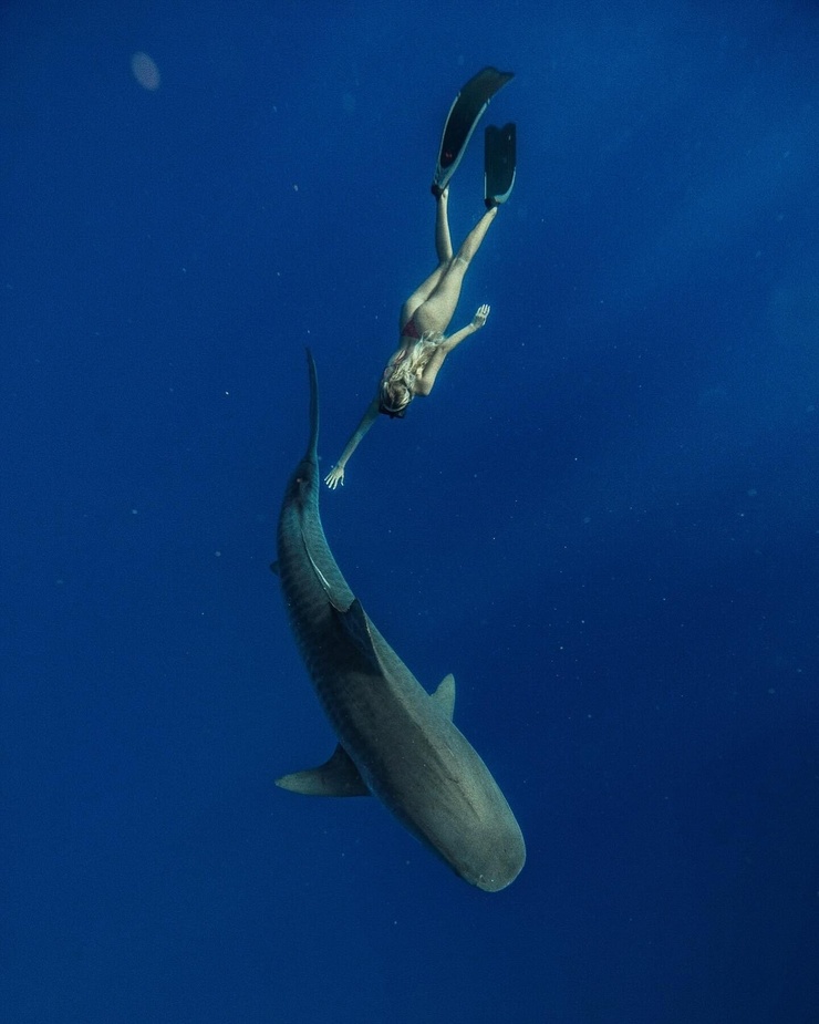 Picture of Grace Giles