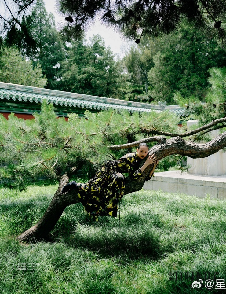 Picture of Fan Xu ii