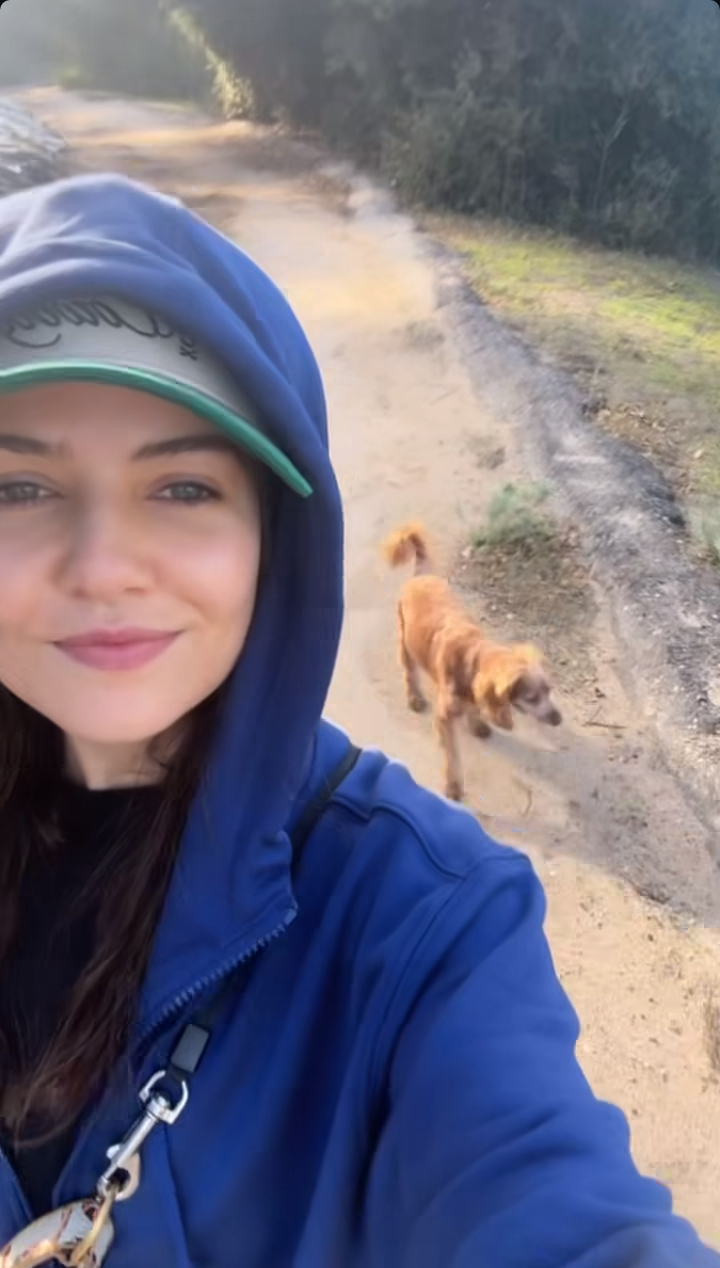 Danielle Campbell picture