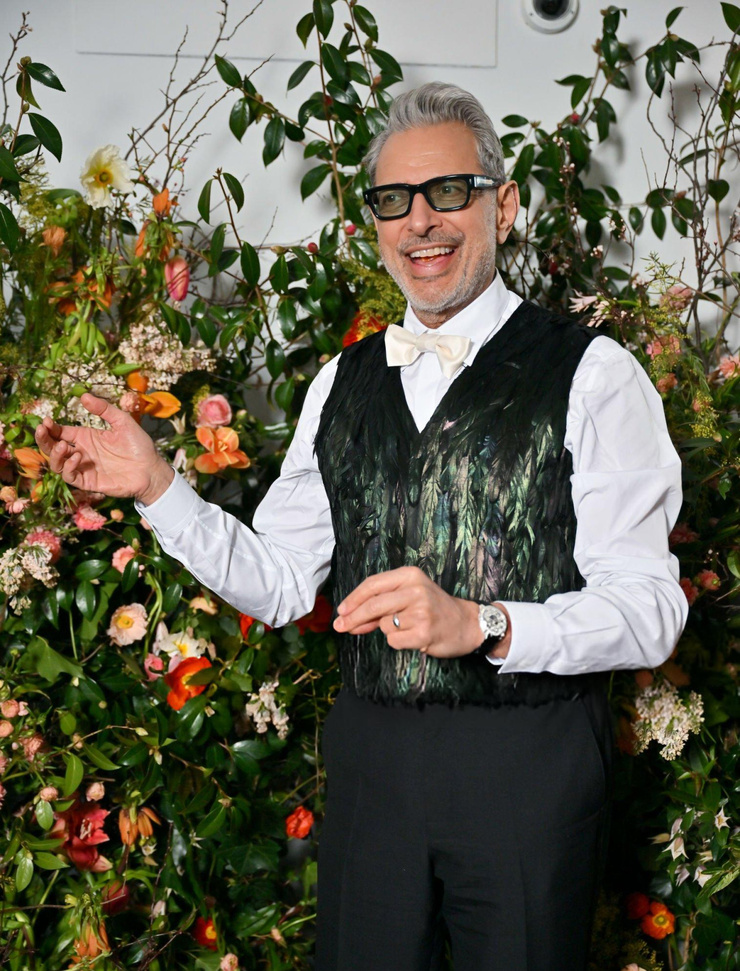 Picture of Jeff Goldblum