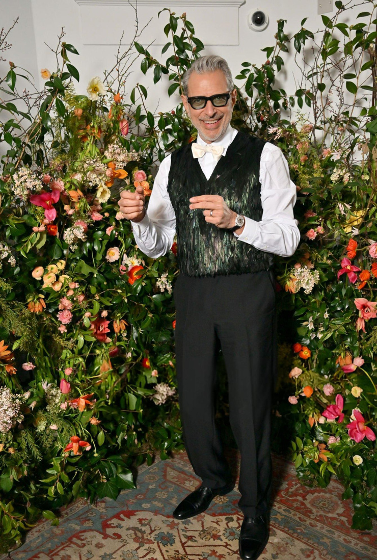 Jeff Goldblum image