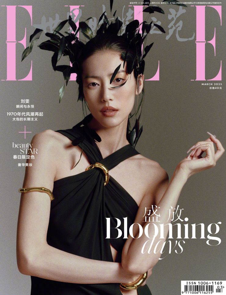 Image of Liu Wen