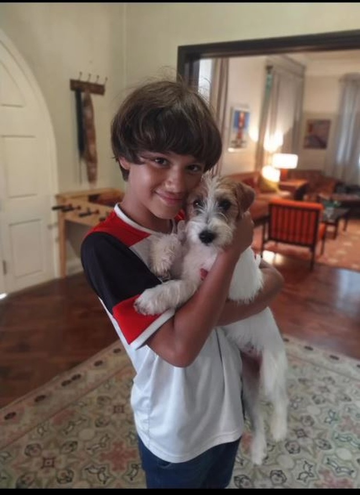 Picture of Guilherme Silveira