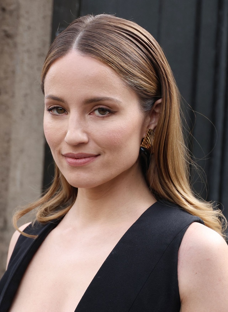 Picture of Dianna Agron