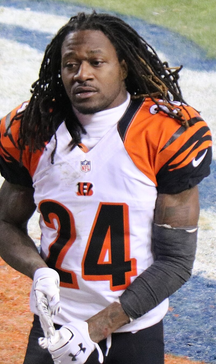 Picture of Adam Jones