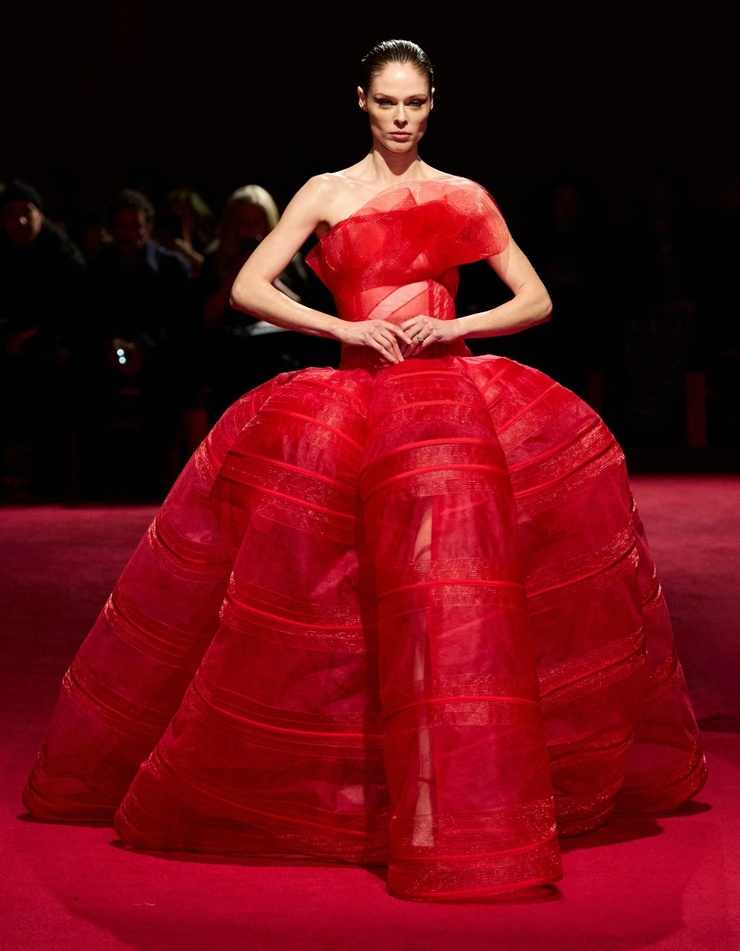 Picture of Coco Rocha