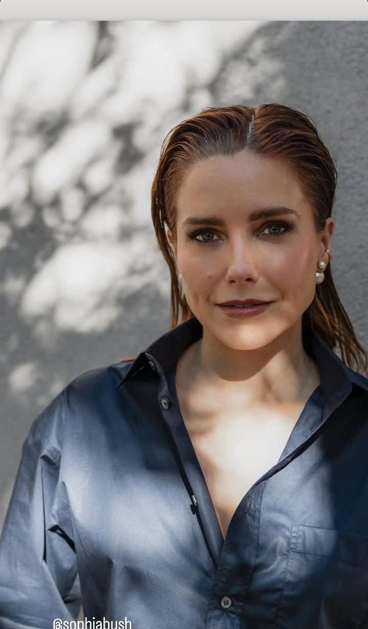 Picture of Sophia Bush