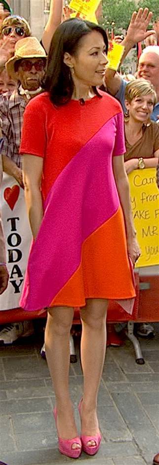 Picture of Ann Curry