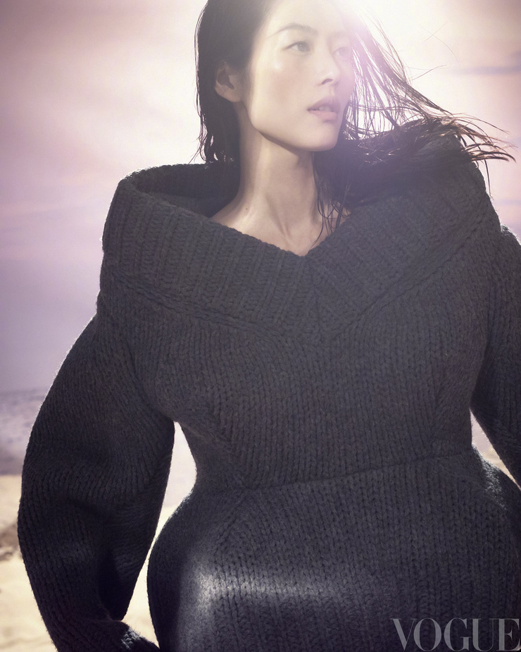 Liu Wen image