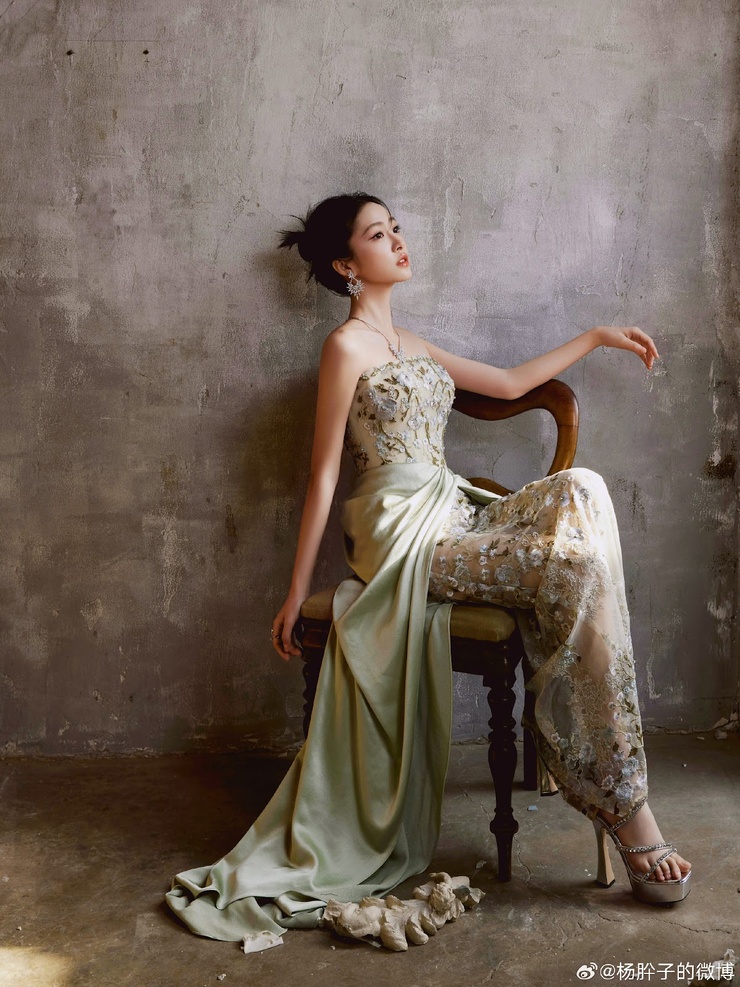 Picture of Yang Xi Zi