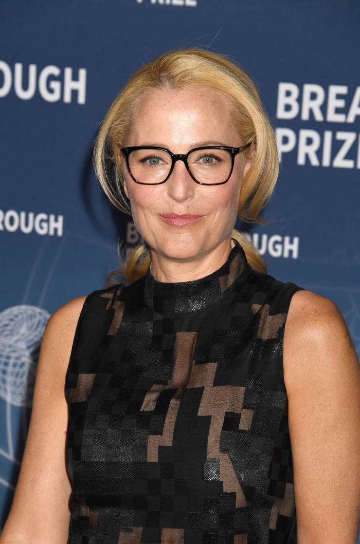 Gillian Anderson picture