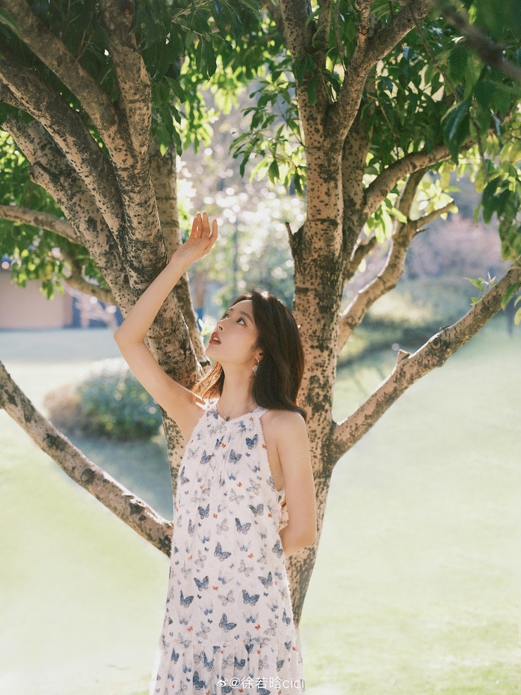 Picture of Ruohan Xu