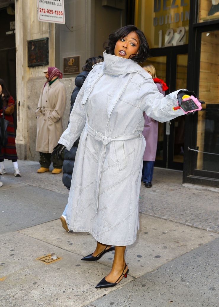 Picture of Lizzo