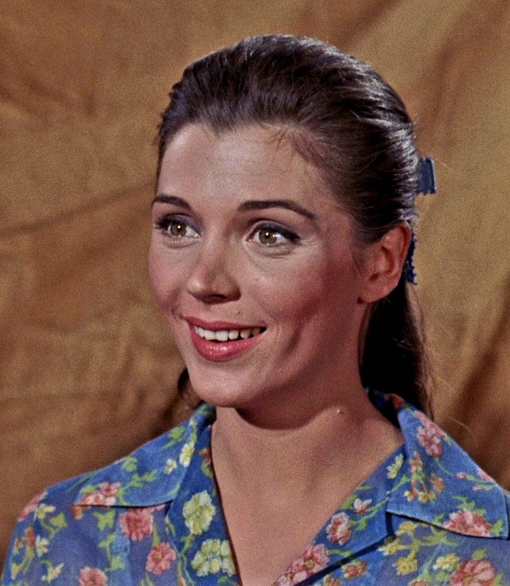 Picture of Donna Baccala