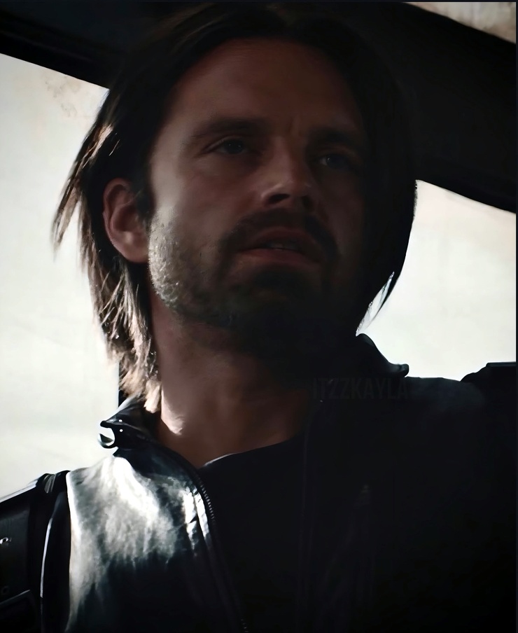 Picture of Sebastian Stan