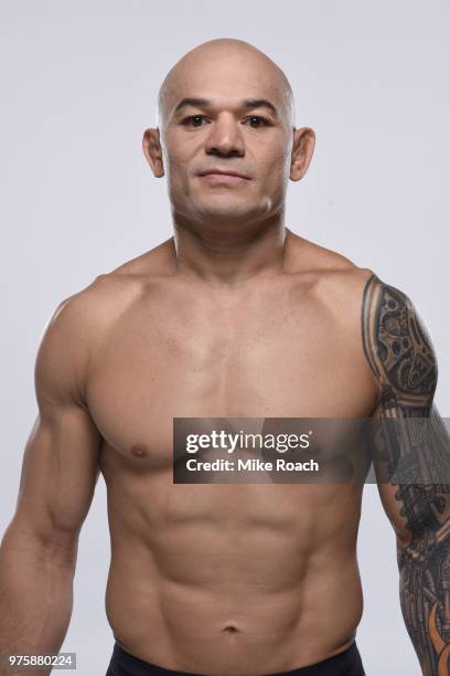 Picture of Gleison Tibau
