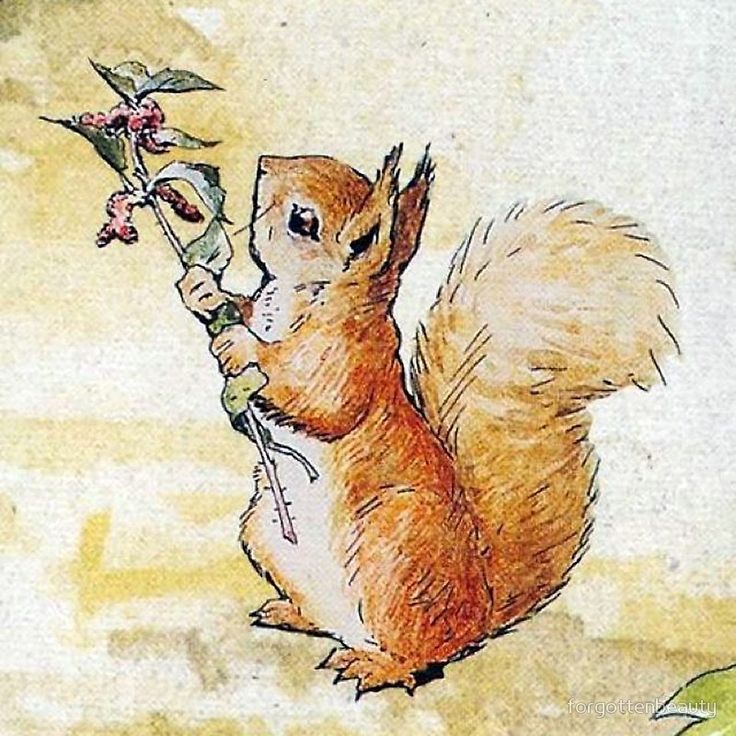 Picture of Squirrel Nutkin