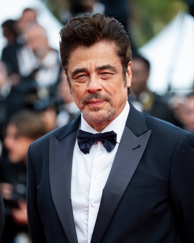 Picture of Benicio Del Toro
