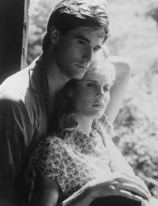 Image of Summer Heat