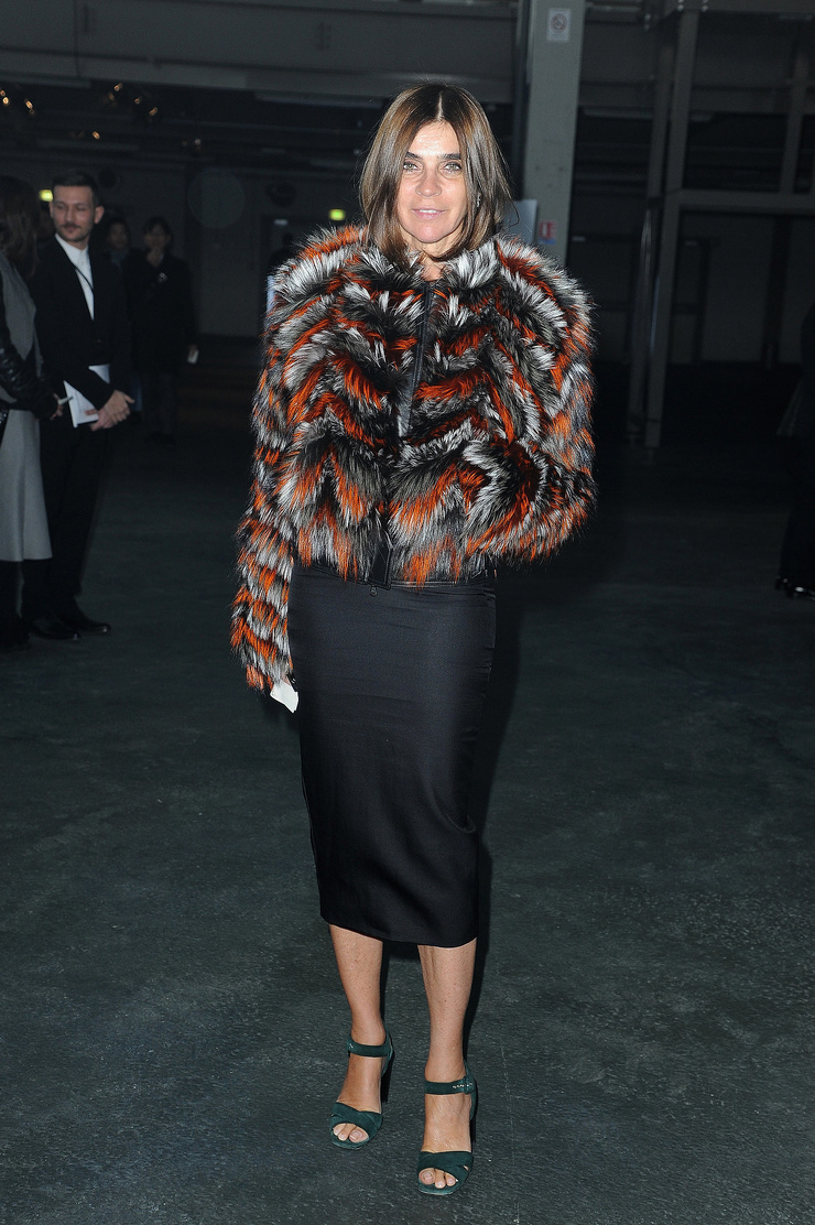 Picture of Carine Roitfeld