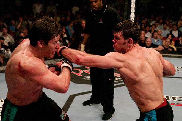 Stephan Bonnar image