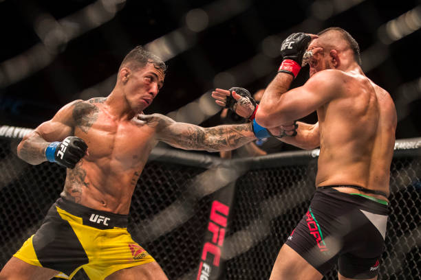 Picture of Reza Madadi