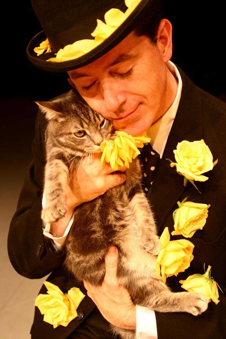 Picture of Stephen Colbert