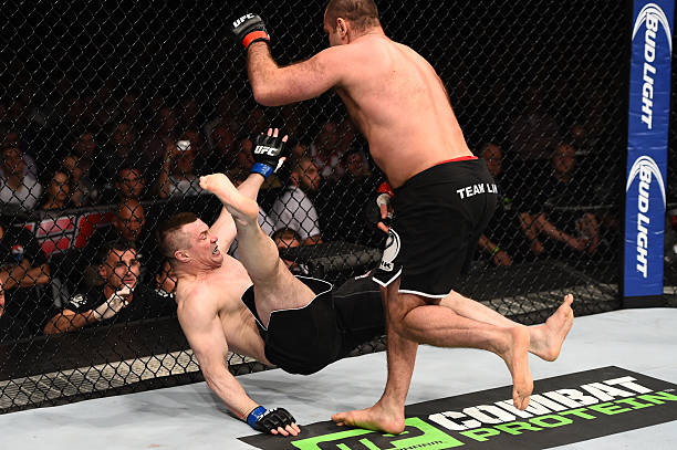 Picture of Mirko Cro Cop Filipovic