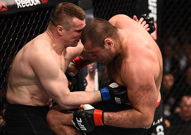 Picture of Mirko Cro Cop Filipovic