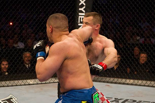 Image of Mirko Cro Cop Filipovic