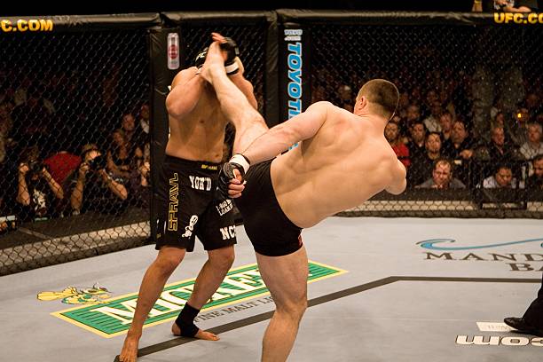 Mirko Cro Cop Filipovic image