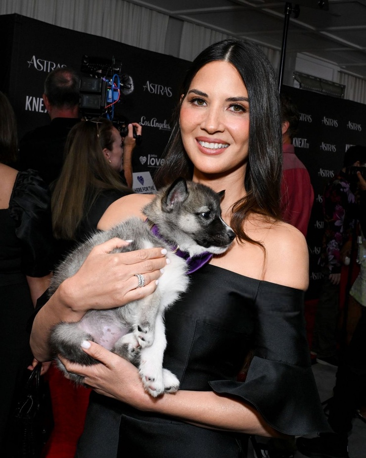 Picture of Olivia Munn