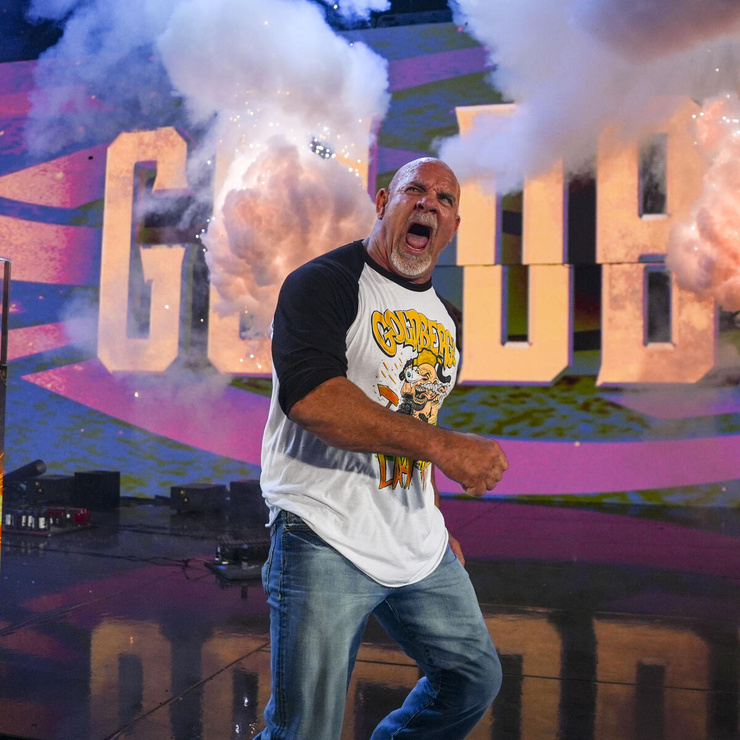 Image of Bill Goldberg