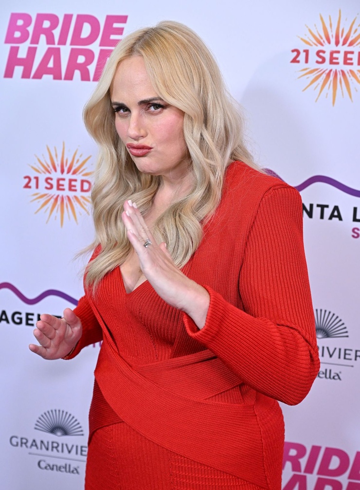 Rebel Wilson image