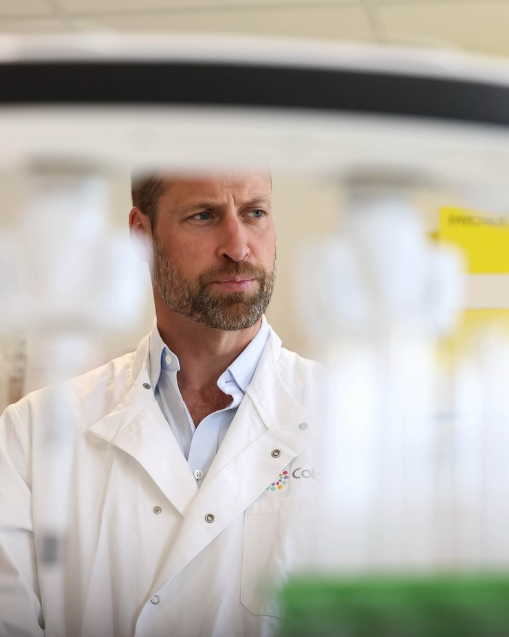 Picture of Prince William Windsor