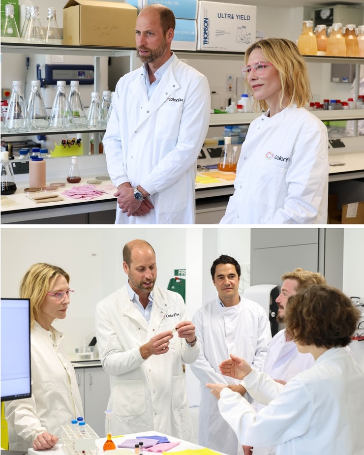 Picture of Prince William Windsor