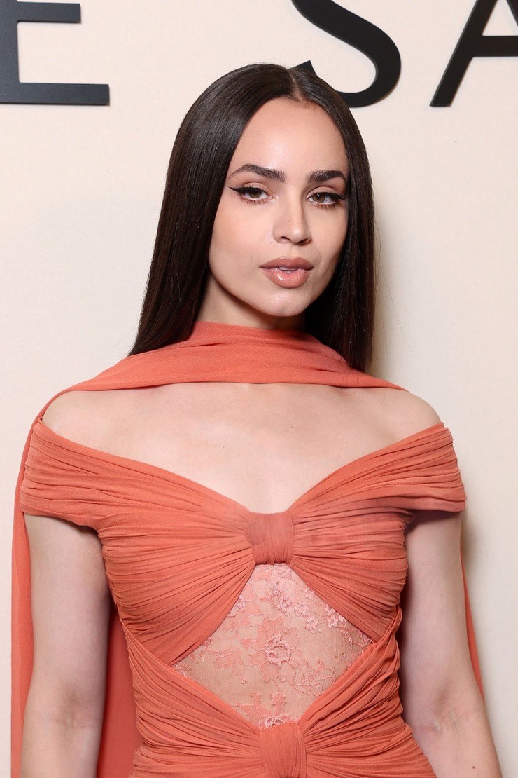 Sofia Carson image