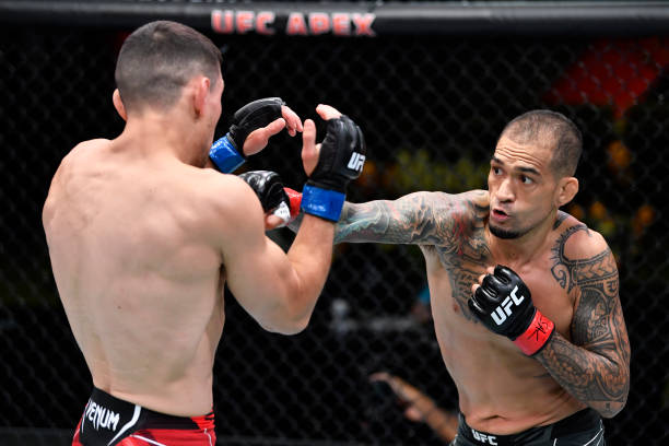 Picture of Damir Hadzovic