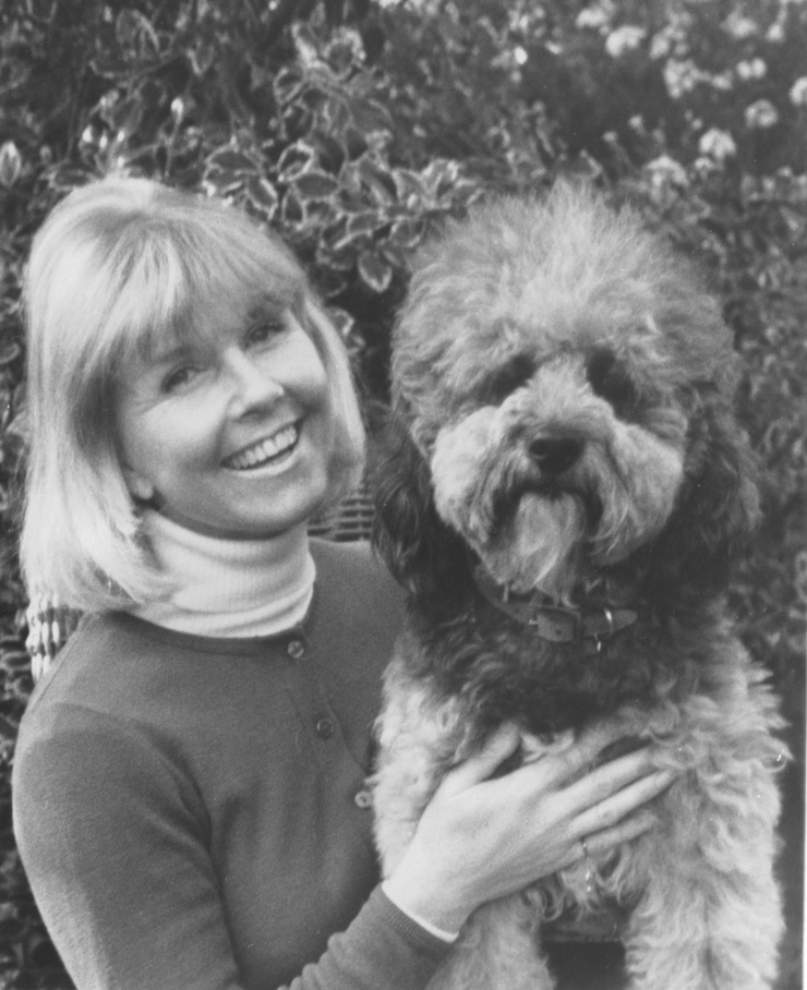 Picture of Doris Day