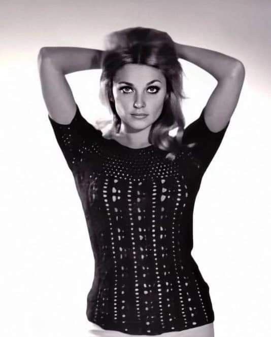 Picture of Sharon Tate