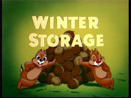 Picture of Winter Storage