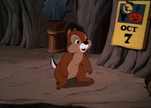 Winter Storage image